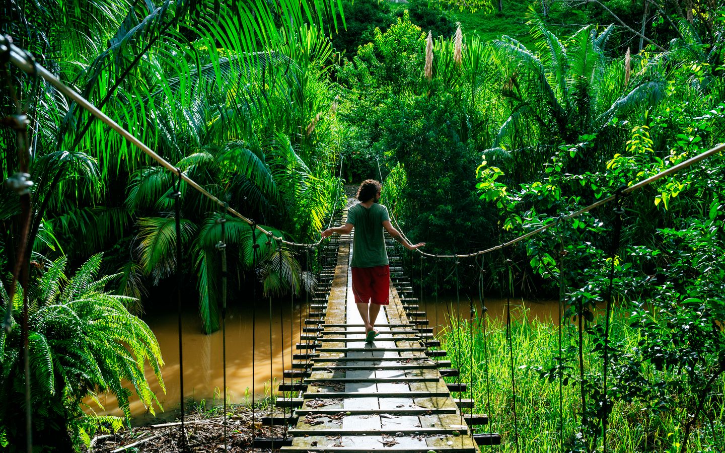 Costa Rica recibe galardón ambiental de la ONU por su liderazgo en la ...